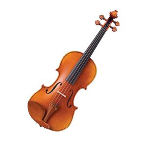 Geige / Violine – Musikschule Wolanski